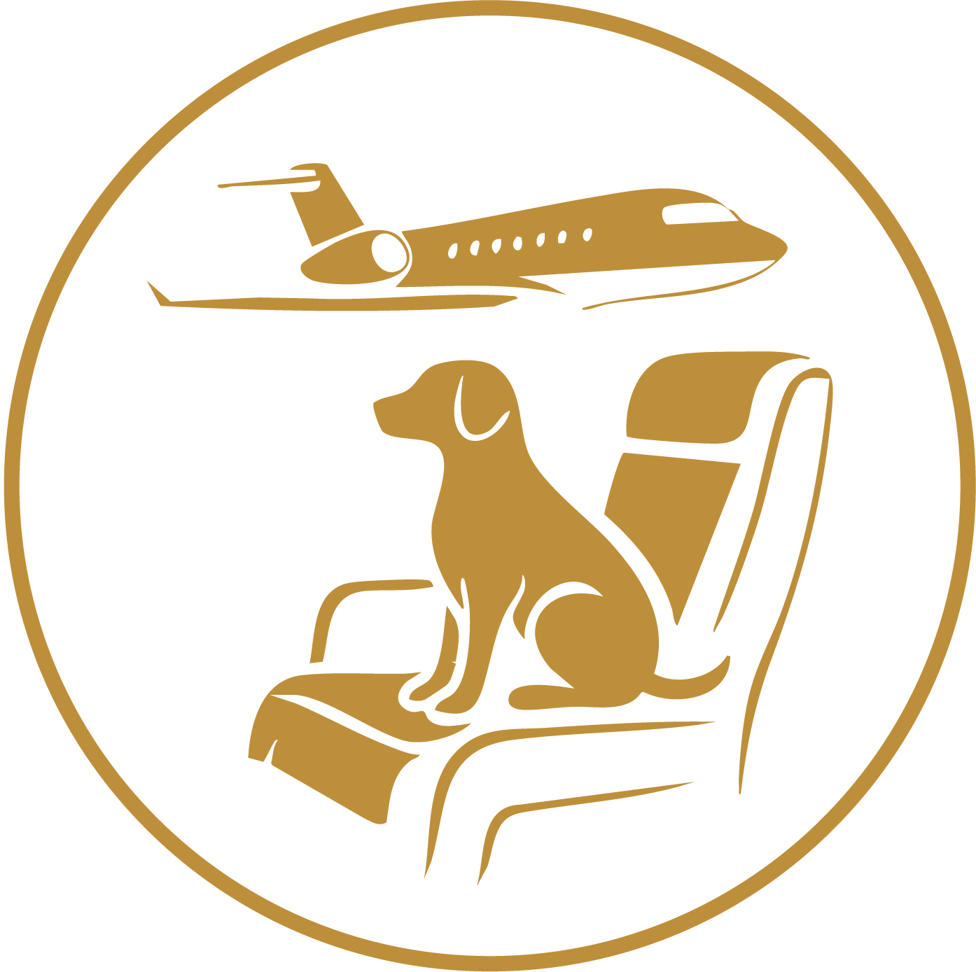 Pet-first, Pre-flight Solutions for Dogs That Fly | PetJet Aviation